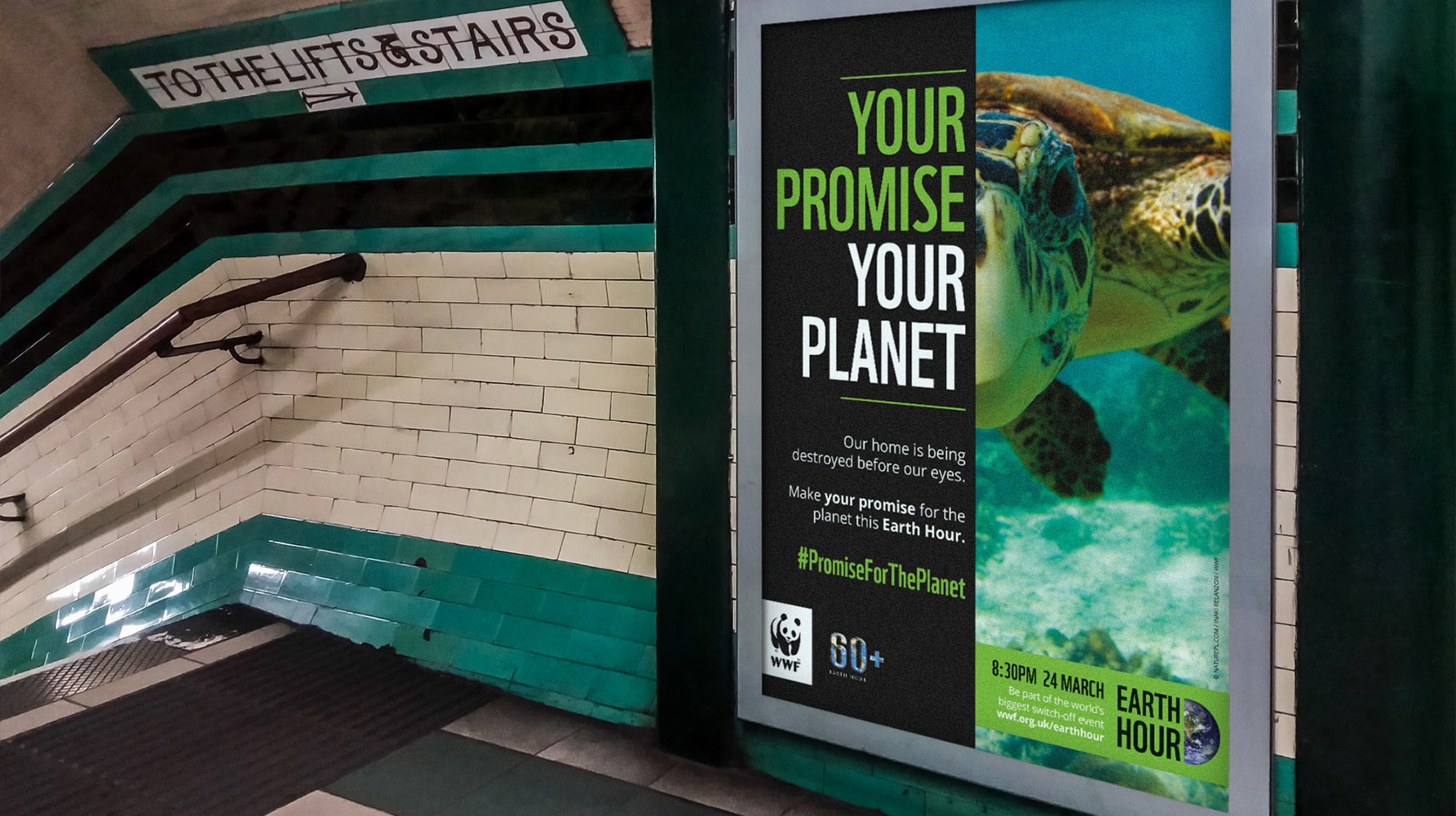 WWF Earth Hour campaign | Ave | Insight, strategy and creative for the ...