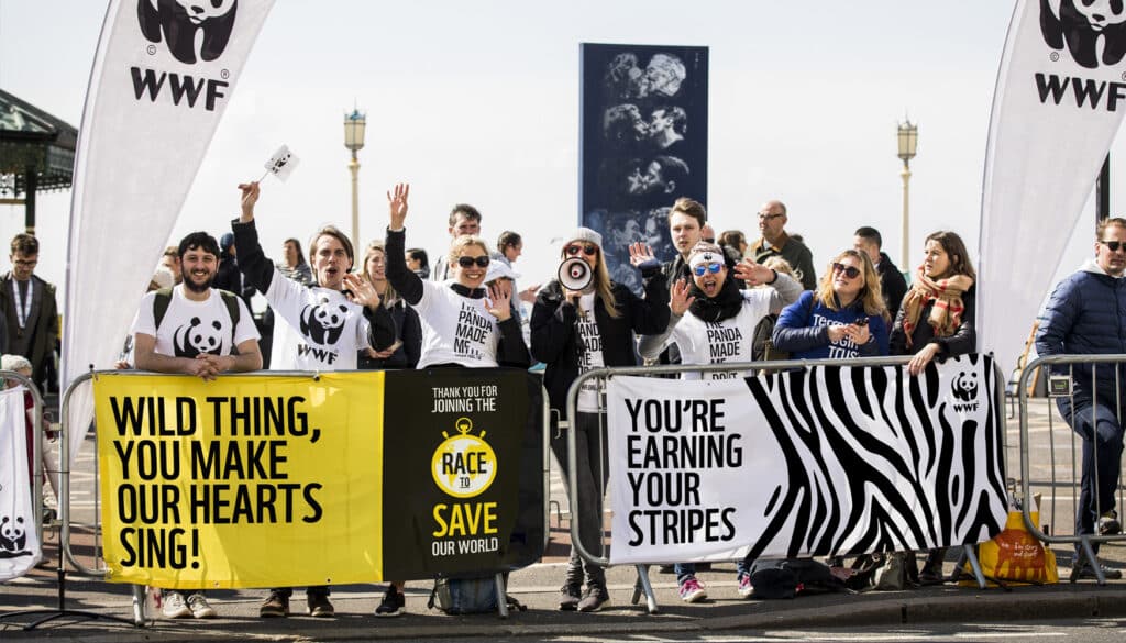 WWF Race to Save the World campaign | Ave | Insight, strategy and ...